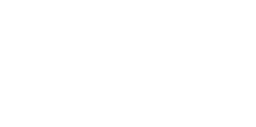 Paragon Technology and Innovation