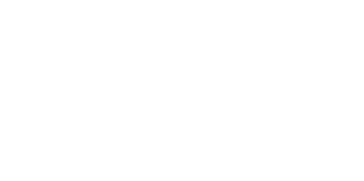 Paragon Technology and Innovation